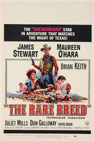 Larry Domasin - My Movies - The Movie & TV Network