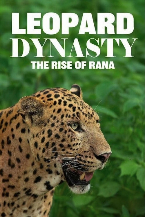 Leopard Dynasty-The Rise of Rana - (2025) - My Movies - The Movie & TV ...