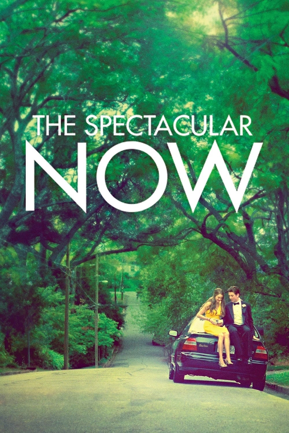 The Spectacular Now - (2013) - My Movies - The Movie & TV Network - My ...
