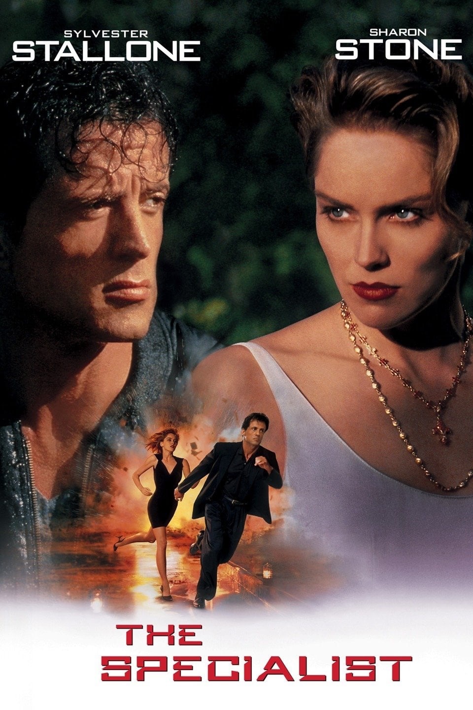 The Specialist - DVD - - United States - 11/6/2007 - My Movies - The ...