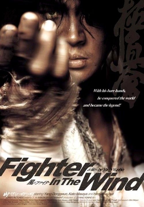 Fighter In The Wind - (2004) - My Movies - The Movie & TV Network - My ...